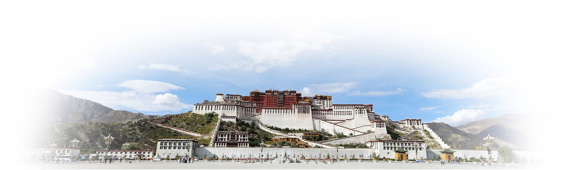 Namgyal Monastery Institute of Buddhist Studies